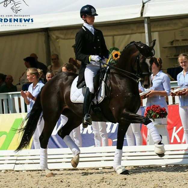 Tom Franckx - N2 Saddlery