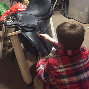 Tips For Saddle Care: Proper Storage - N2 Saddlery